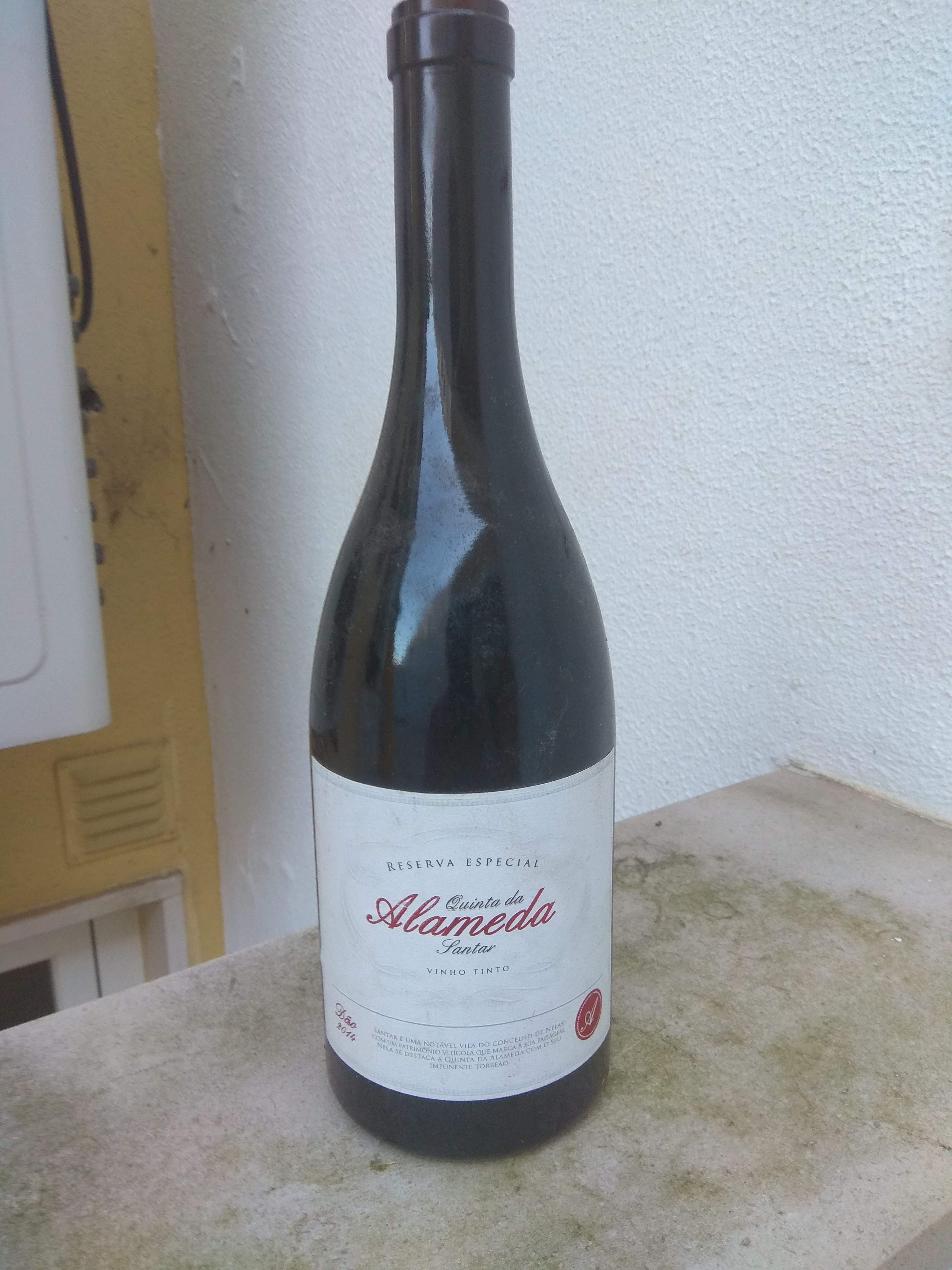 Quinta da Alameda Reserva Especial 2014 - wine4people